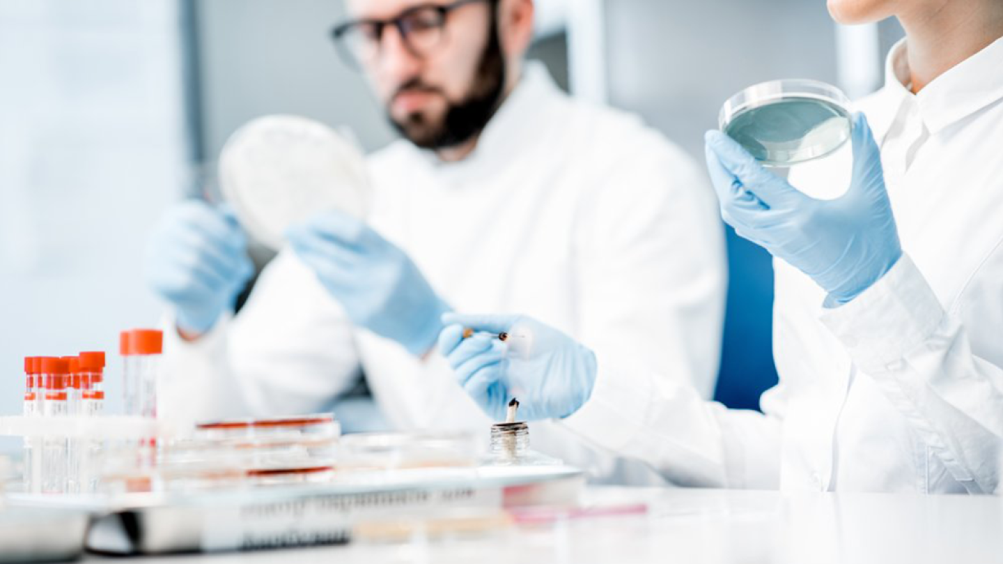 Testing Playbook for Biological Emergencies | Pandemic Center | School ...
